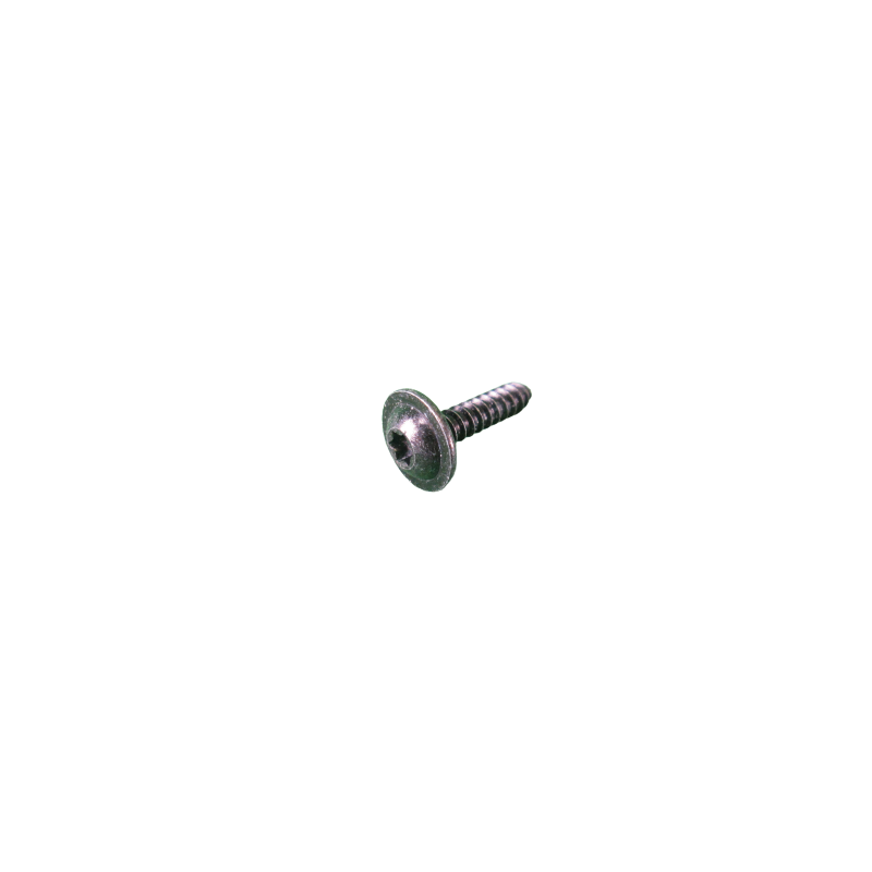Vis de fixation de guide vitre Twingo 2 RS